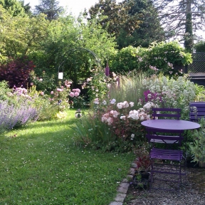 Comment choisir vos plantes