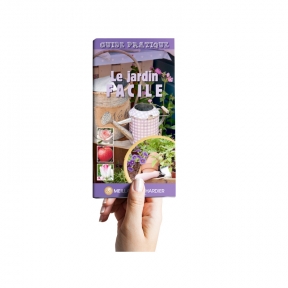 Petit fruit : conseils de plantation