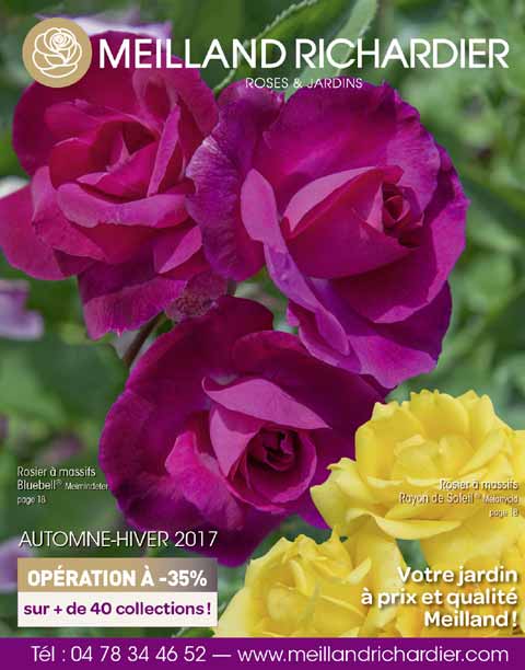 Jardinerie en ligne Meilland Richardier rosier bulbe vivace fruitier ...